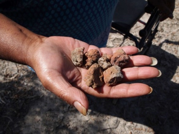 Aboriginal Cooking Traditions Spanning 4000 Years Revealed - Aldinga ...