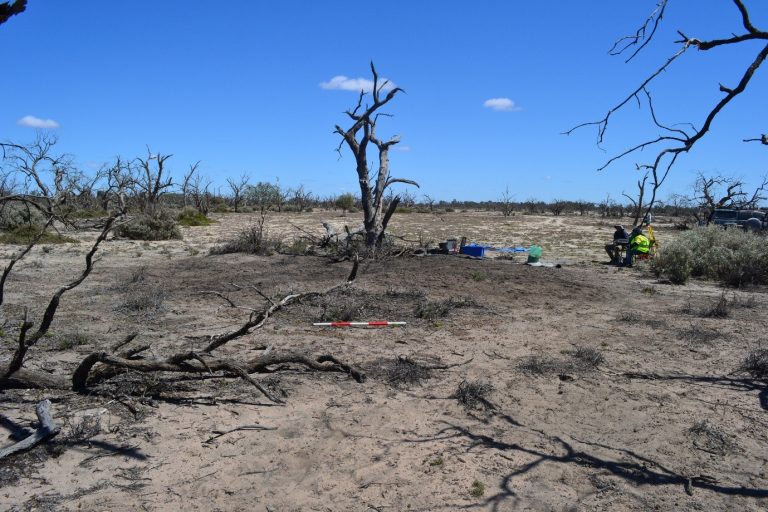 Aboriginal Cooking Traditions Spanning 4000 Years Revealed - Aldinga ...