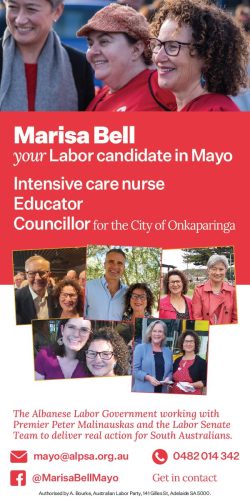 Marisa Bell to re-contest Mayo for Labor - Aldinga Village Voice